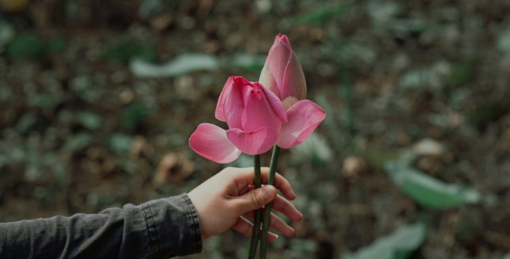 Loving Kindness (Metta) Meditation Script: Use these exact steps ...