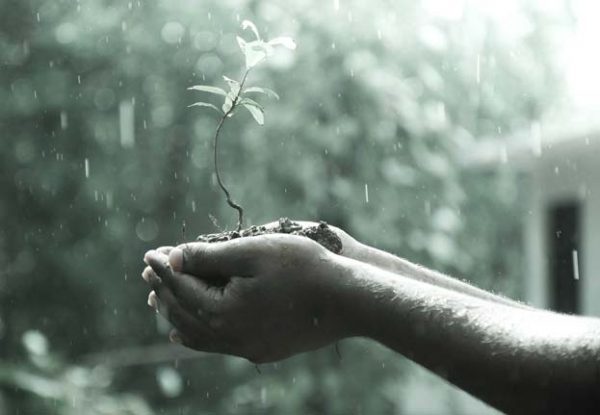 Reframing: 362 Techniques + Examples [Quotes & Tips] | Happy Rubin